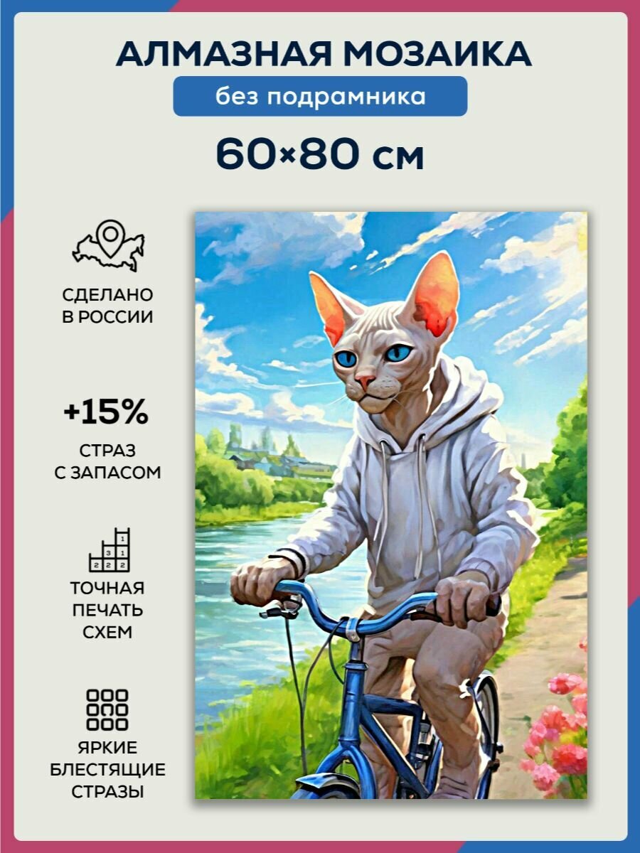 Алмазная мозаика 60x80 Кот на велосипеде без подрамника