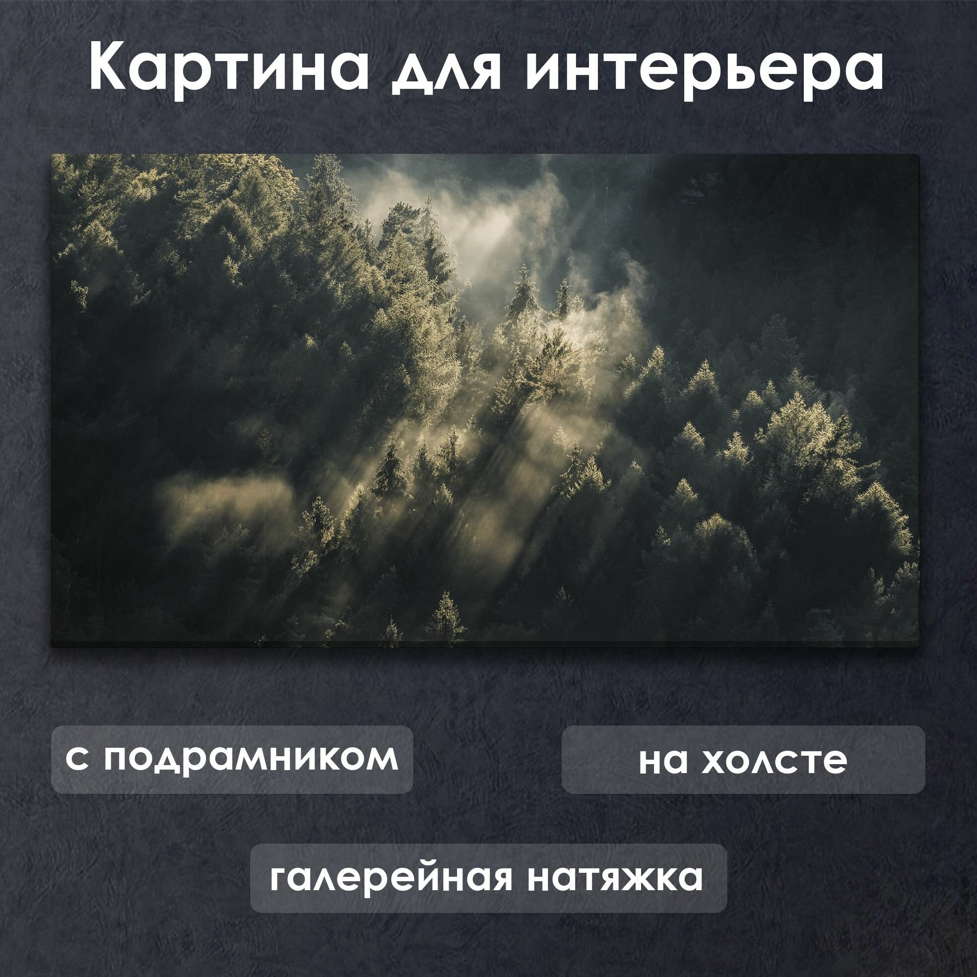 Картина для интерьера с подрамником на холсте на стену Лес в тумане