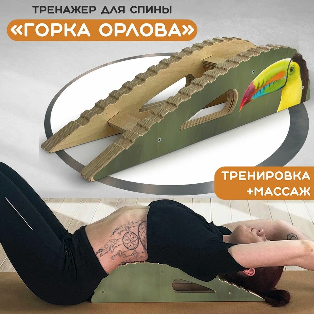 Массажер-тренажер для спины "Горка Орлова" с принтом " Животные Попугай (Тукан, цветы милота, Подарок для мамы, бабушки сестры, подруге) - 355"