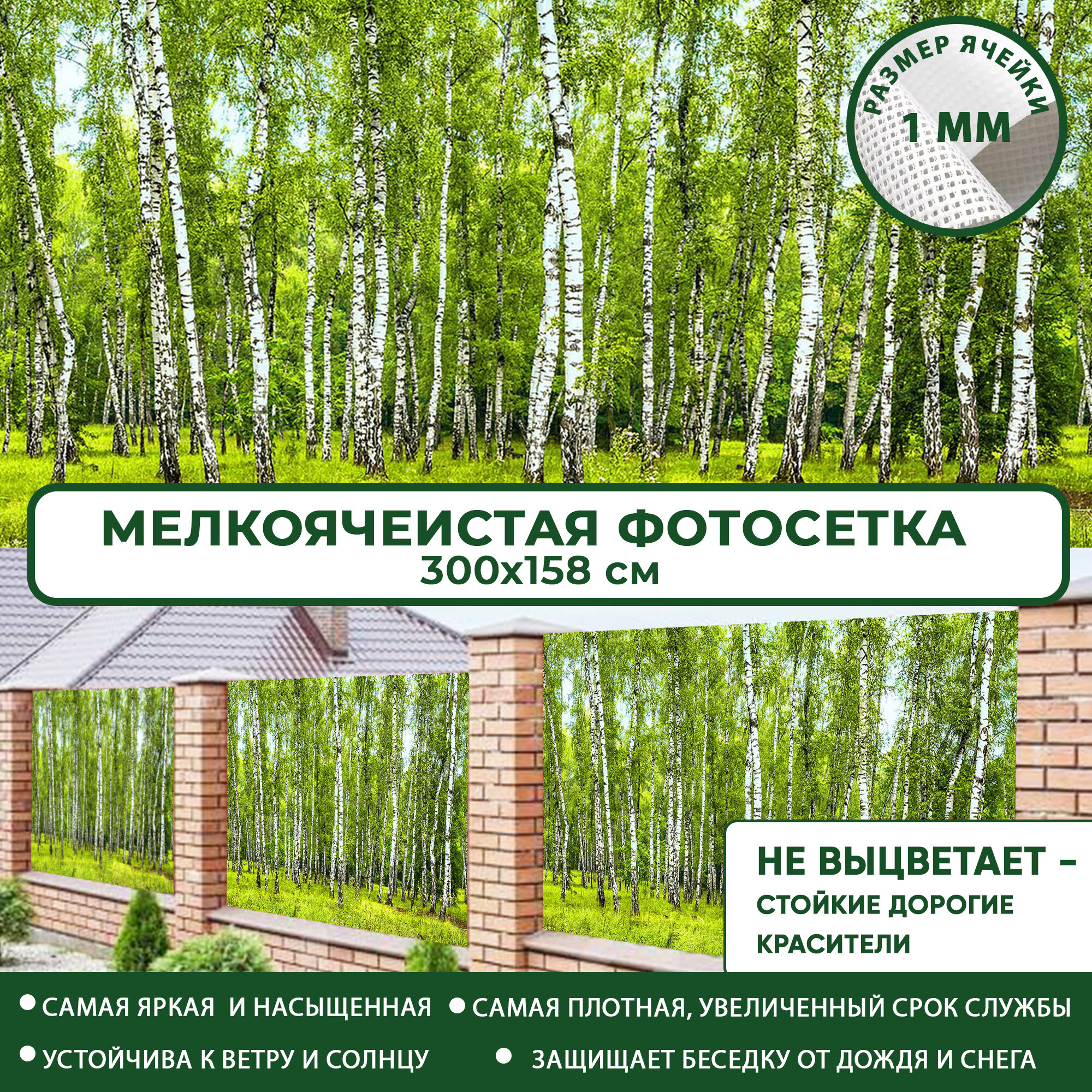 Фотосетка Мечта для забора беседки террасы 300x158 см, "Березовая роща" , фотофасад для дома дачи сада