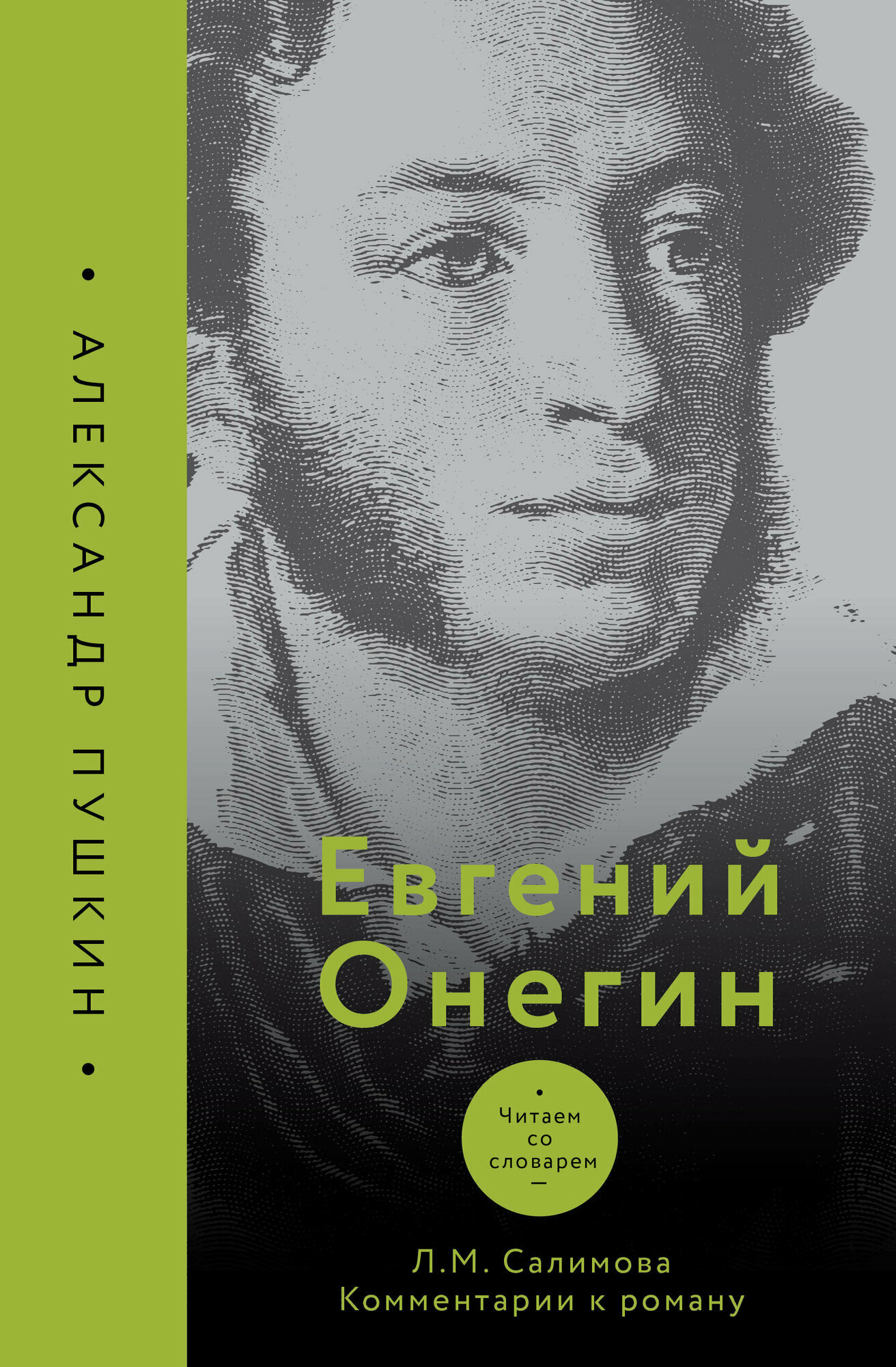 Евгений Онегин. Читаем со словарем. Комментарии к роману Салимова Л. М.