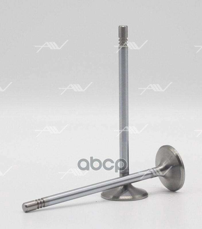 Клапан впуск SSANG YONG D20DT/D27DT 30.5x6x109 Autowelt арт. VI40000