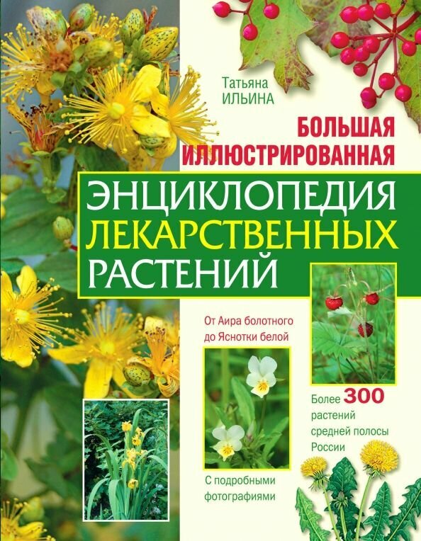 Большая иллюстрированная энциклопедия лекарственных растений (Лучшее)