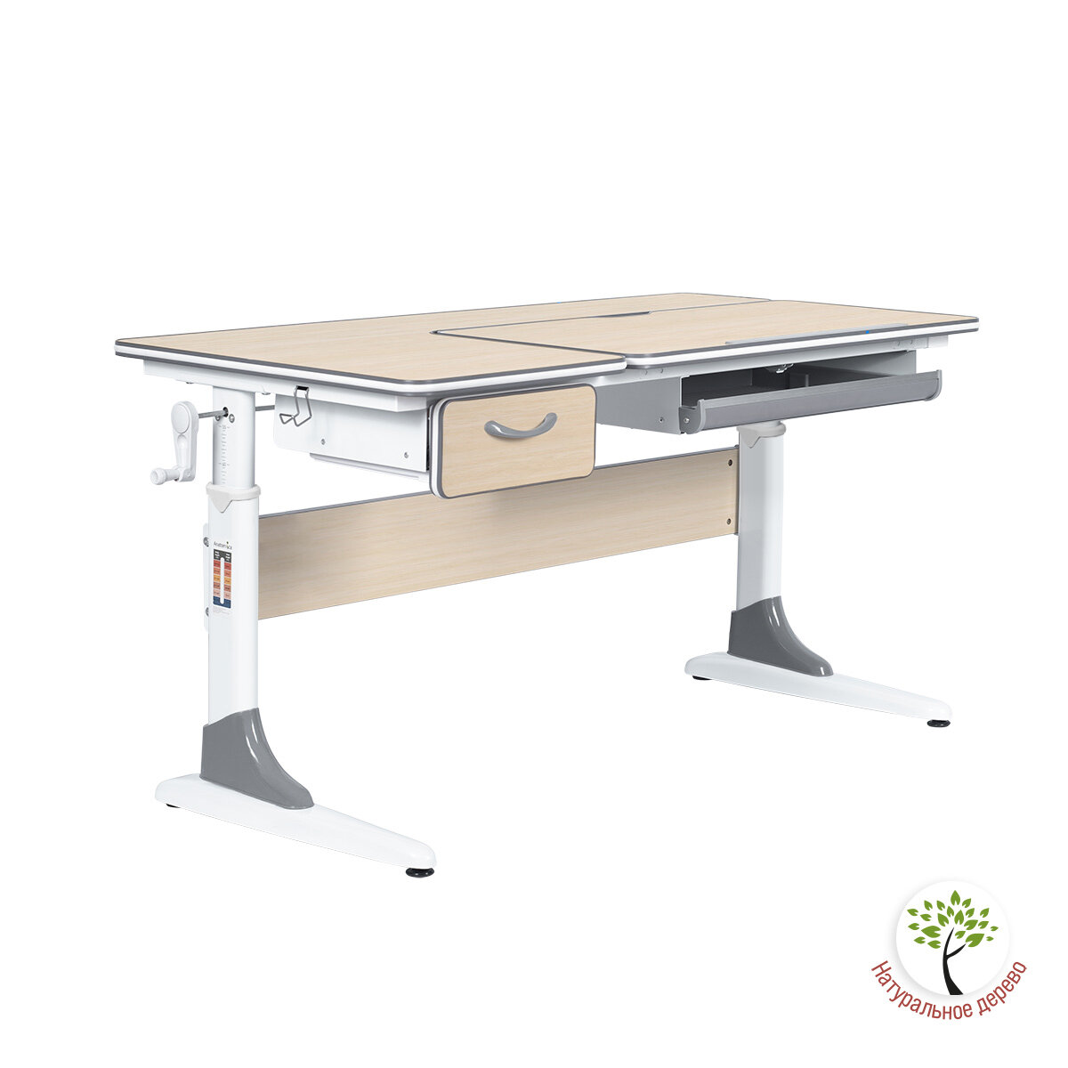 Парта Anatomica Study-120 клен/серый