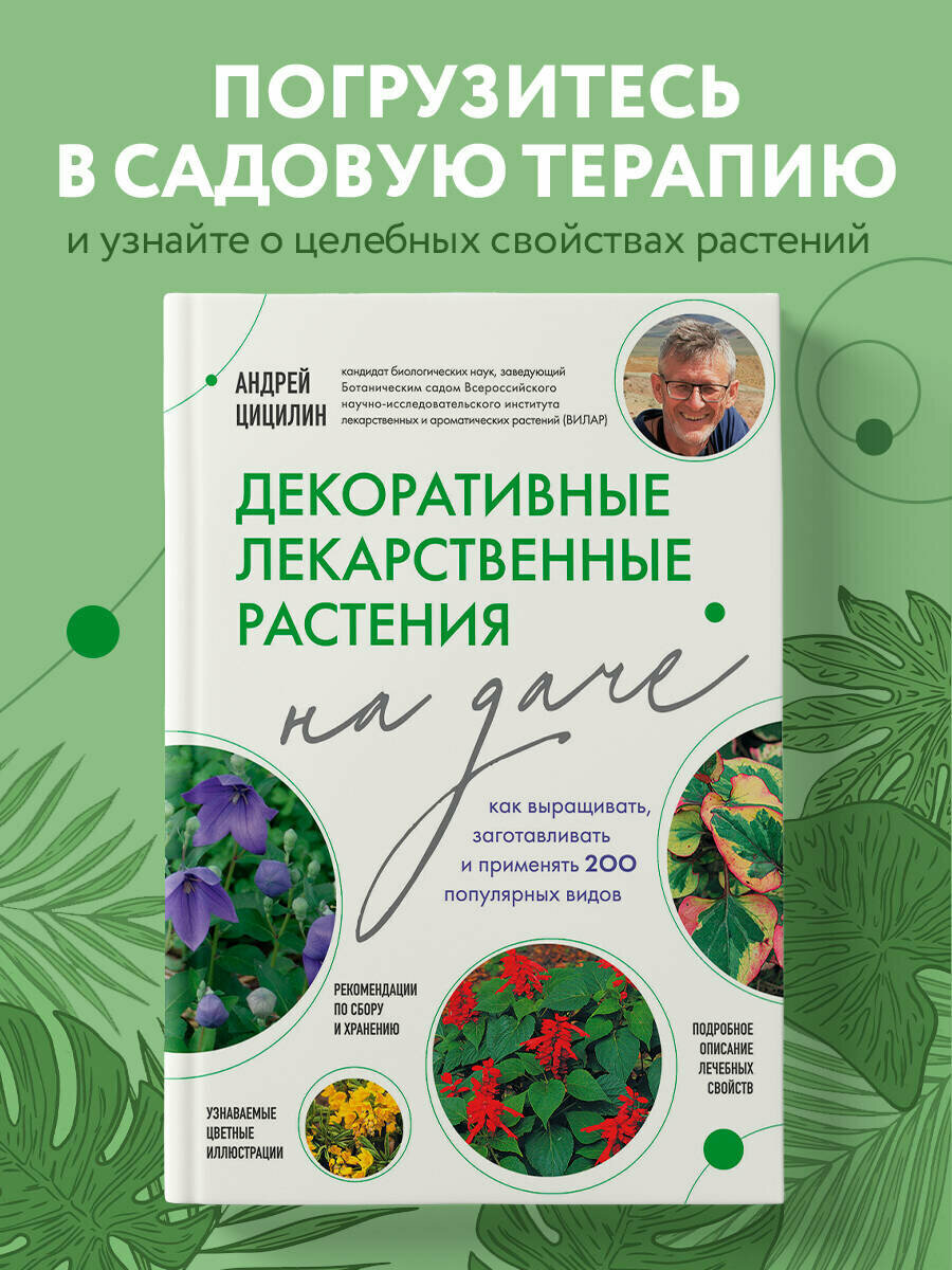 Цицилин А. Н. Декоративные лекарственные растения на даче. Как выращивать, заготавливать и применять 200 популярных видов