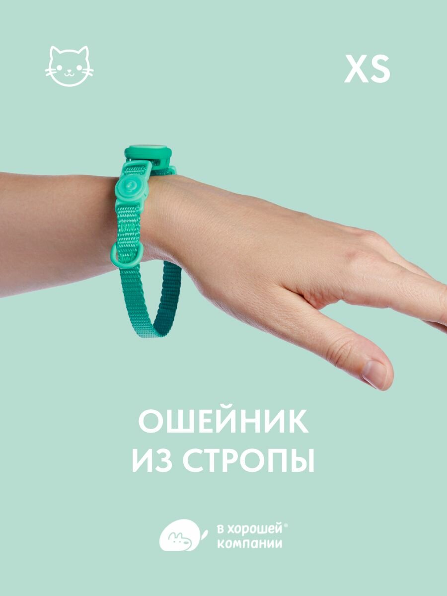 Ошейник с адресником для котов IN GOOD COMPANY (XS / Грасс / стропа)