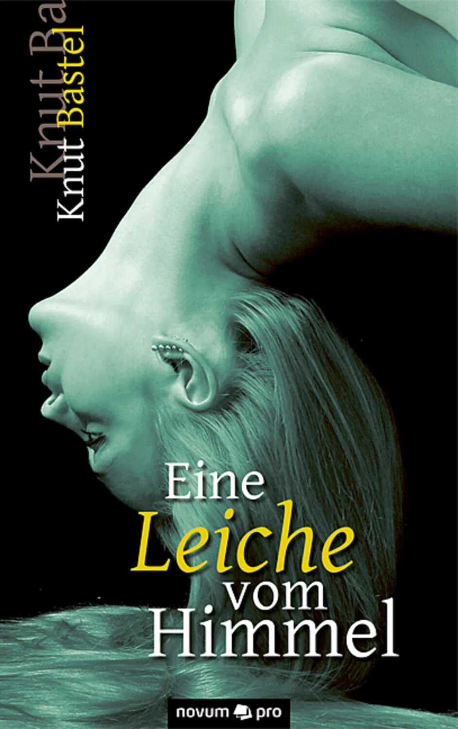 Eine Leiche vom Himmel [Цифровая книга]