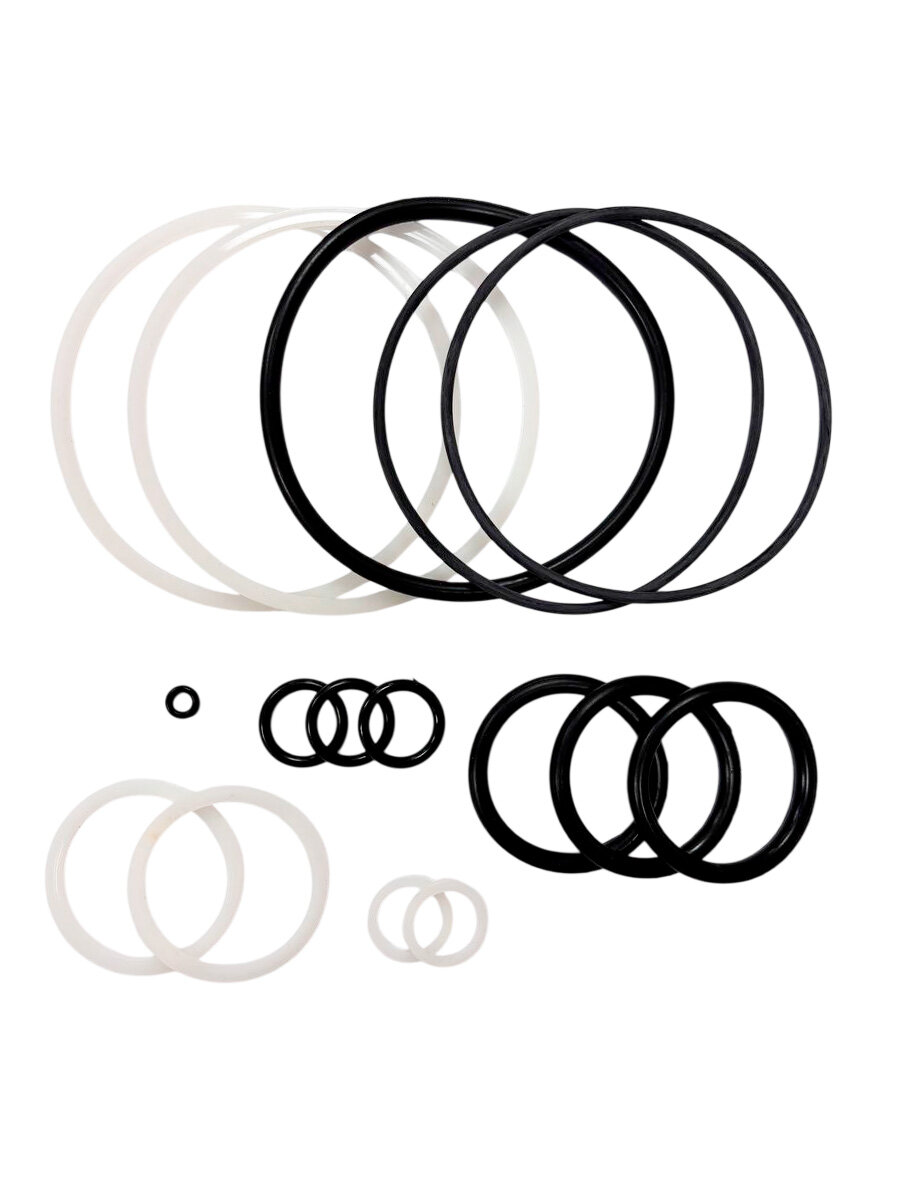 Ремкомплект гидроцилиндра ЦС-100 старого образца 3032 (А438)
