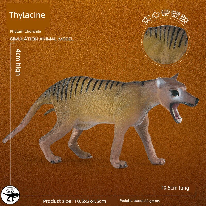 Реалистичная образцовая модель животного Thylacine для детей, сплошная деревянная фигура, детальный обучающий инструмент