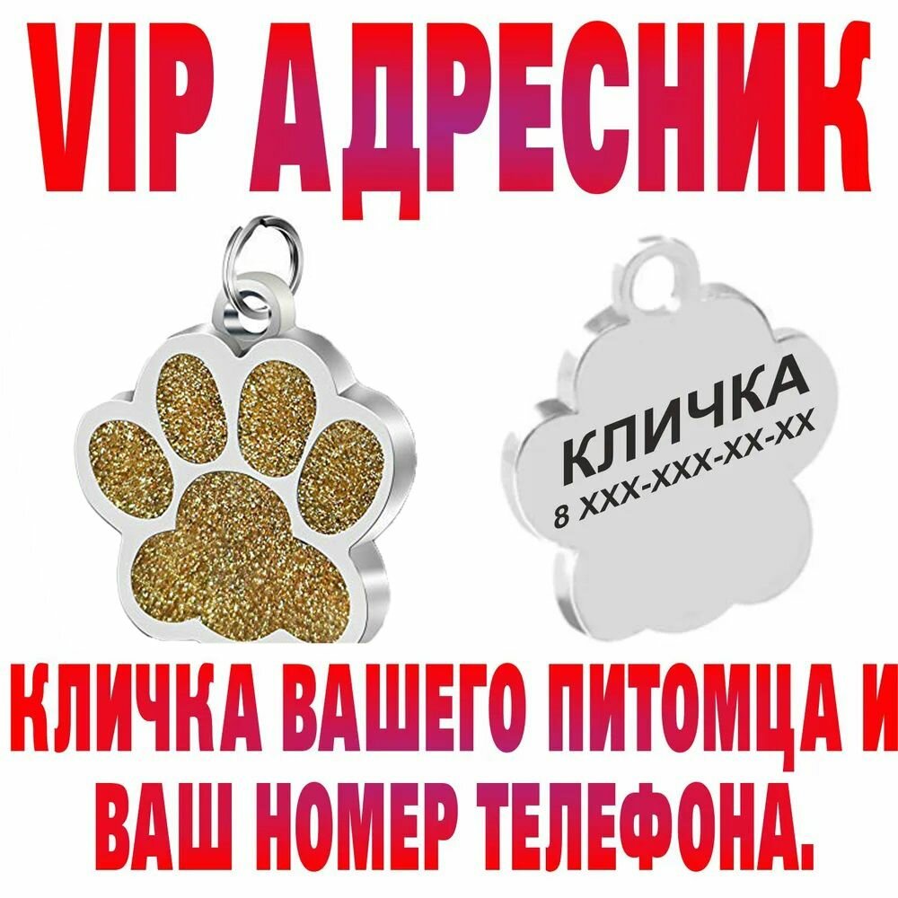Адресник для собак и кошек . Лапка бирка для питомца табличка для животного в форме лапки