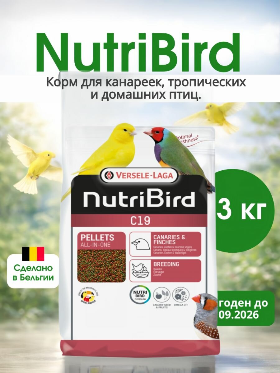 Корм для канареек, тропических и домашних птиц С19 Versele-Laga