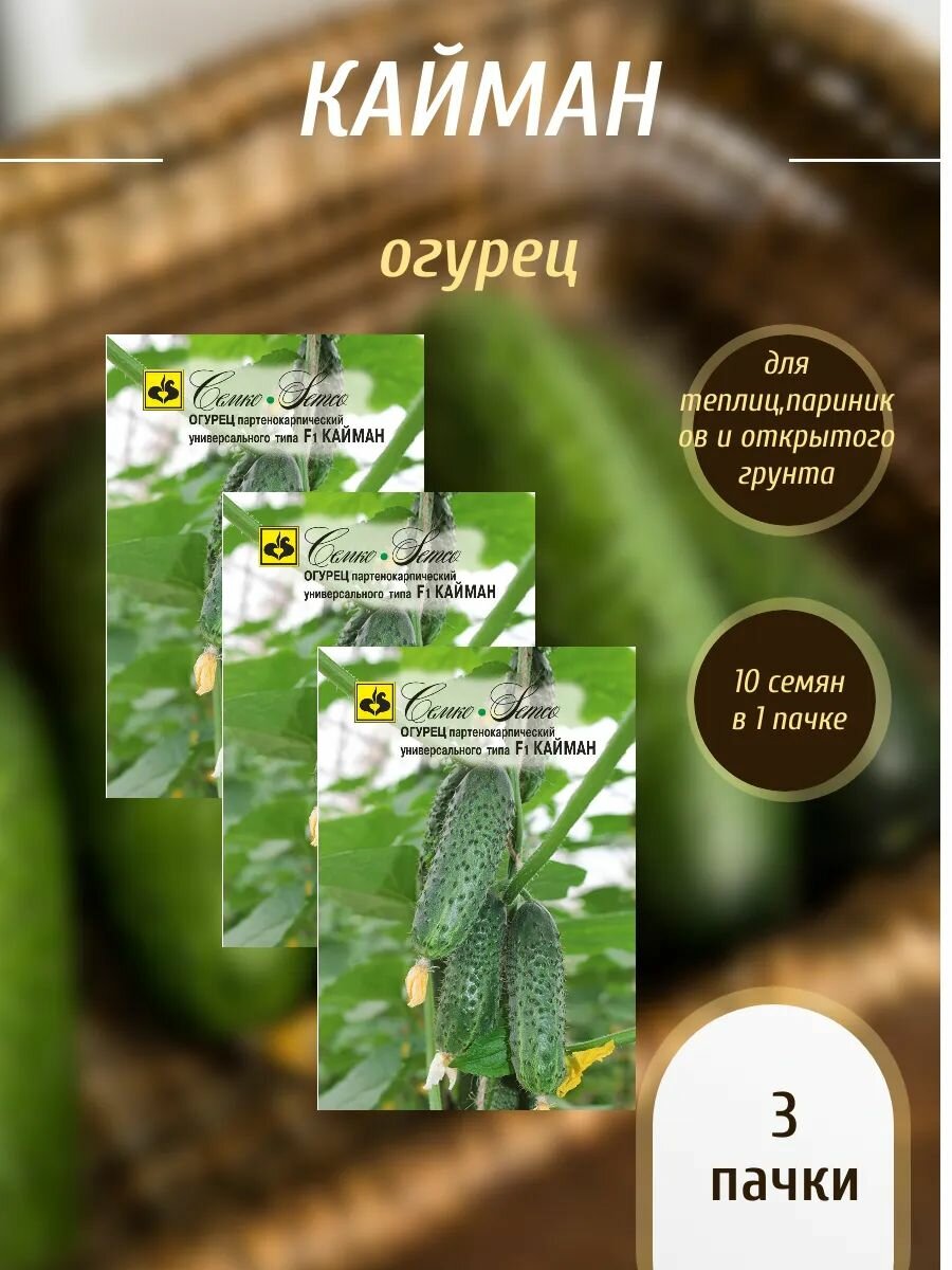 Огурец Кайман-3 пачки по 10 семян