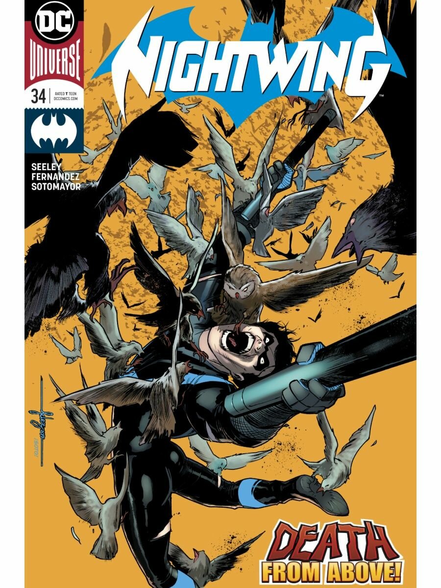 Постер "Nightwing. Death from above"