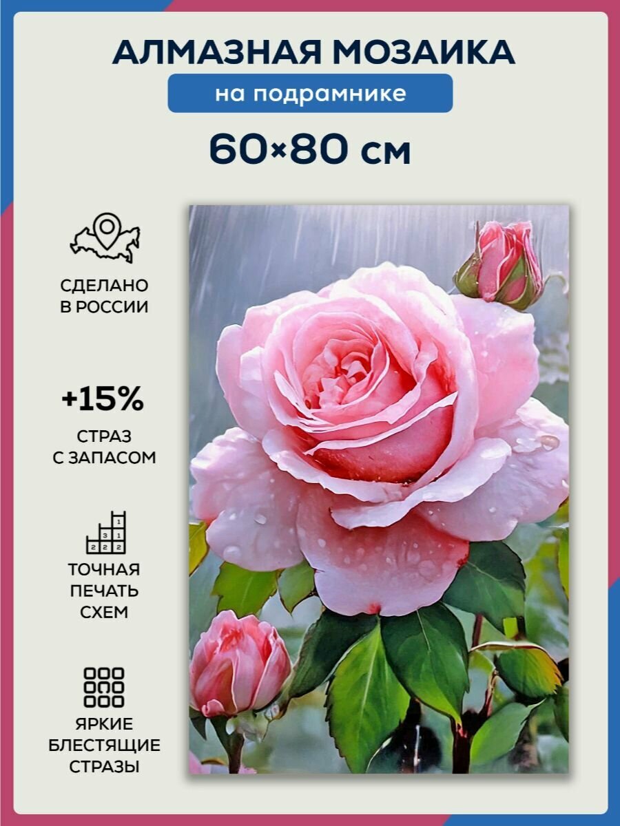 Алмазная мозаика 60x80 Розовая роза на подрамнике