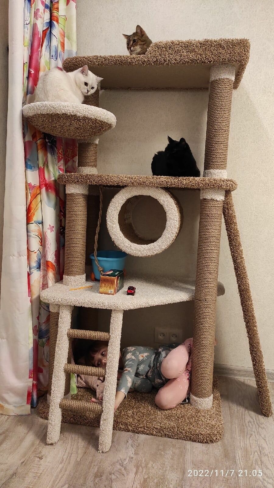 Игровой комплекс с гамаком и лежанками из ковролина , для кошки , высота 160 см , цвет коричневый и белый