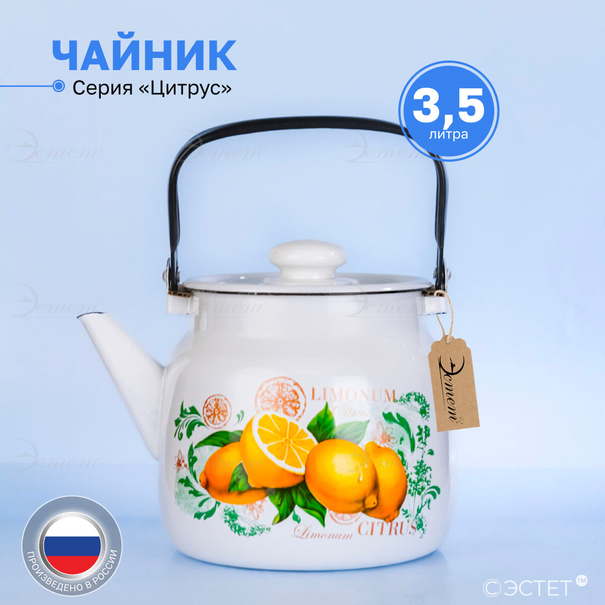 Чайник эмалированный 3.5 л "Цитрус" для всех видов плит