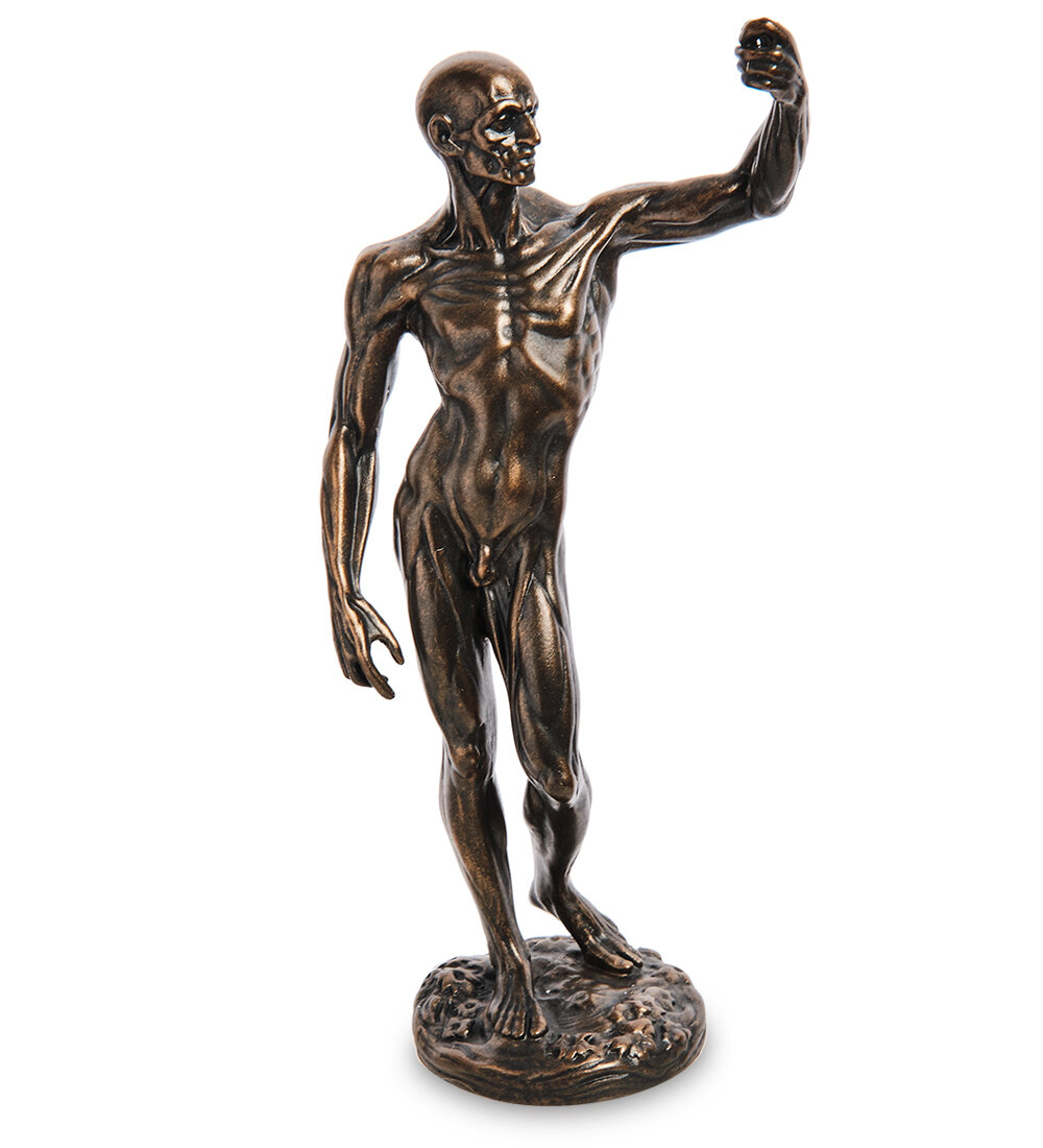 Статуэтка (Anatomical Study.Parastone)