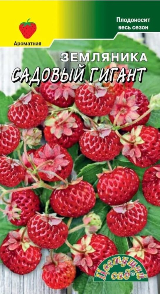 Семена Земляника Садовый гигант ремонтантная 0.03г (Цветущий Сад)