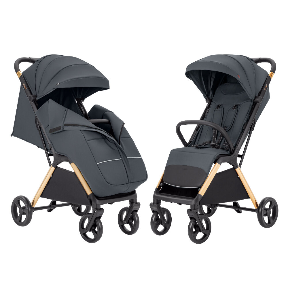 Прогулочная коляска Carrello Cross CRL-5523 Eagle Grey Новинка!