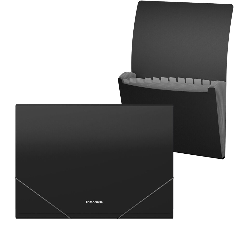 Папка-картотека Erich Krause пластиковая, Matt Classic, с 12 отделениями, A4, черный (50416)