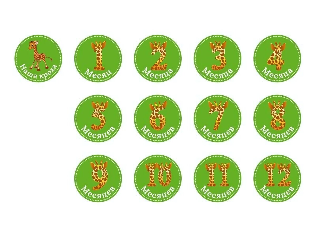 Стикеры для фотосессии 'Жирафы', серия 'Stick'n Click', 13 шт, универсальные, легко клеятся