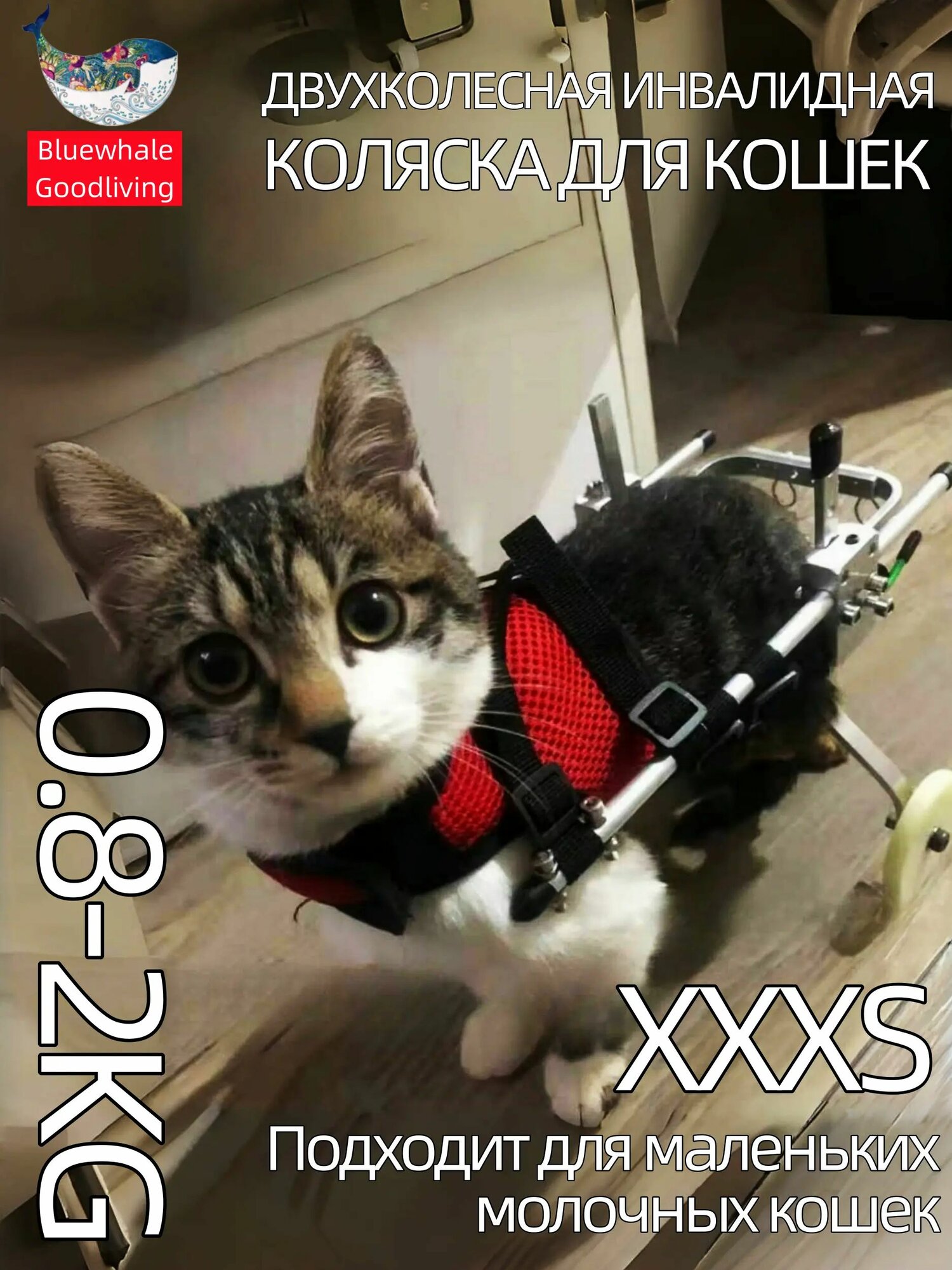 Кошачья инвалидная коляска. Двухколесная реабилитационная коляска для кошек. Подходит для домашних животных с проблемами задних лап и полным параличом. Код XXXS.