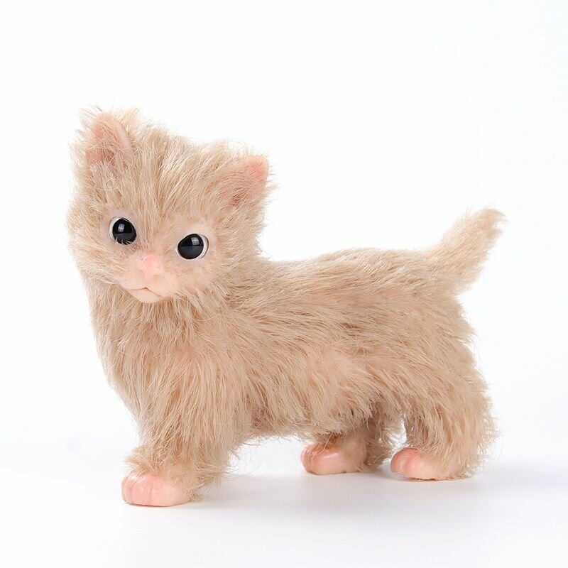 Реборн Котик