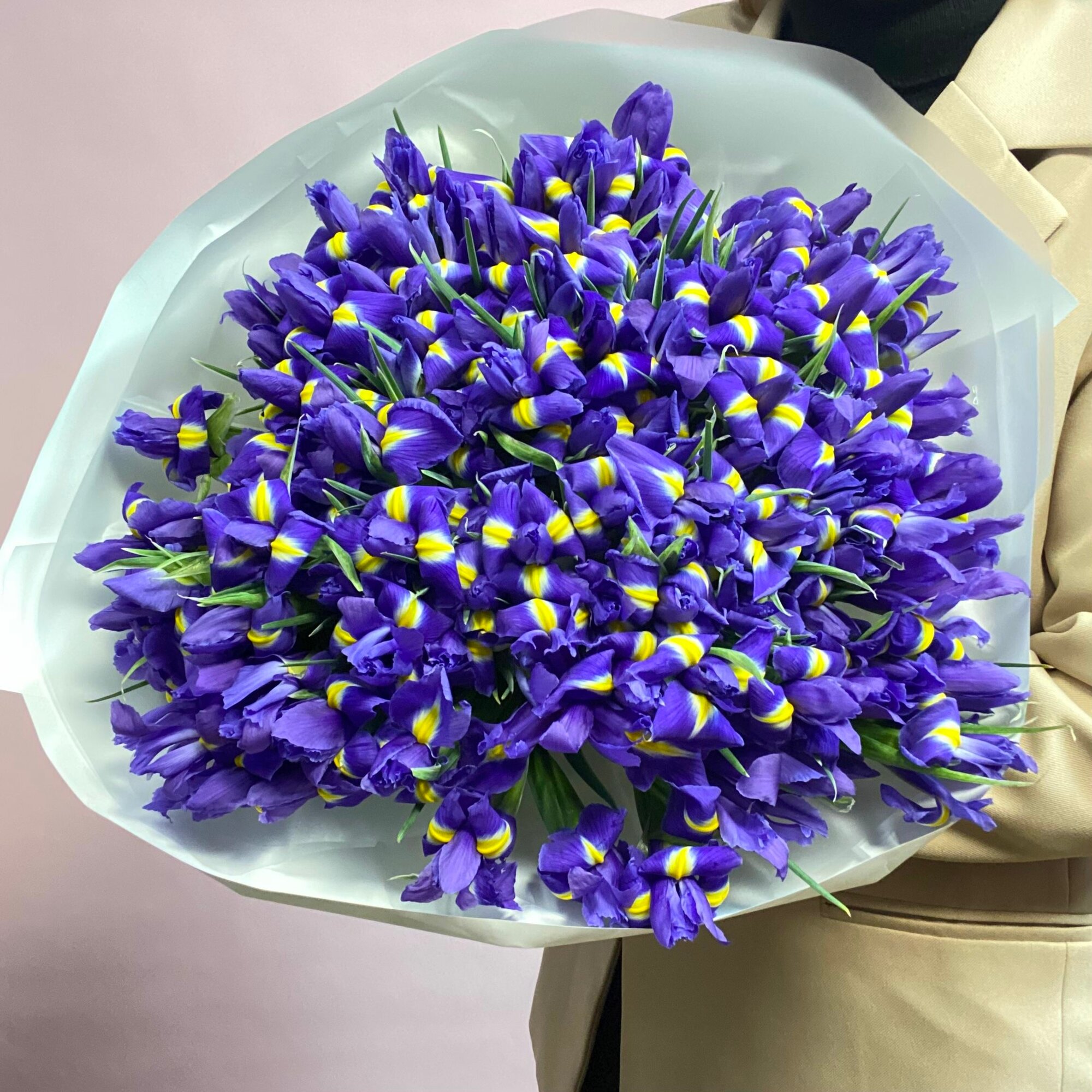 Ирисы (ирис 101 шт.), высота букета 50 см, ширина букета 35 см