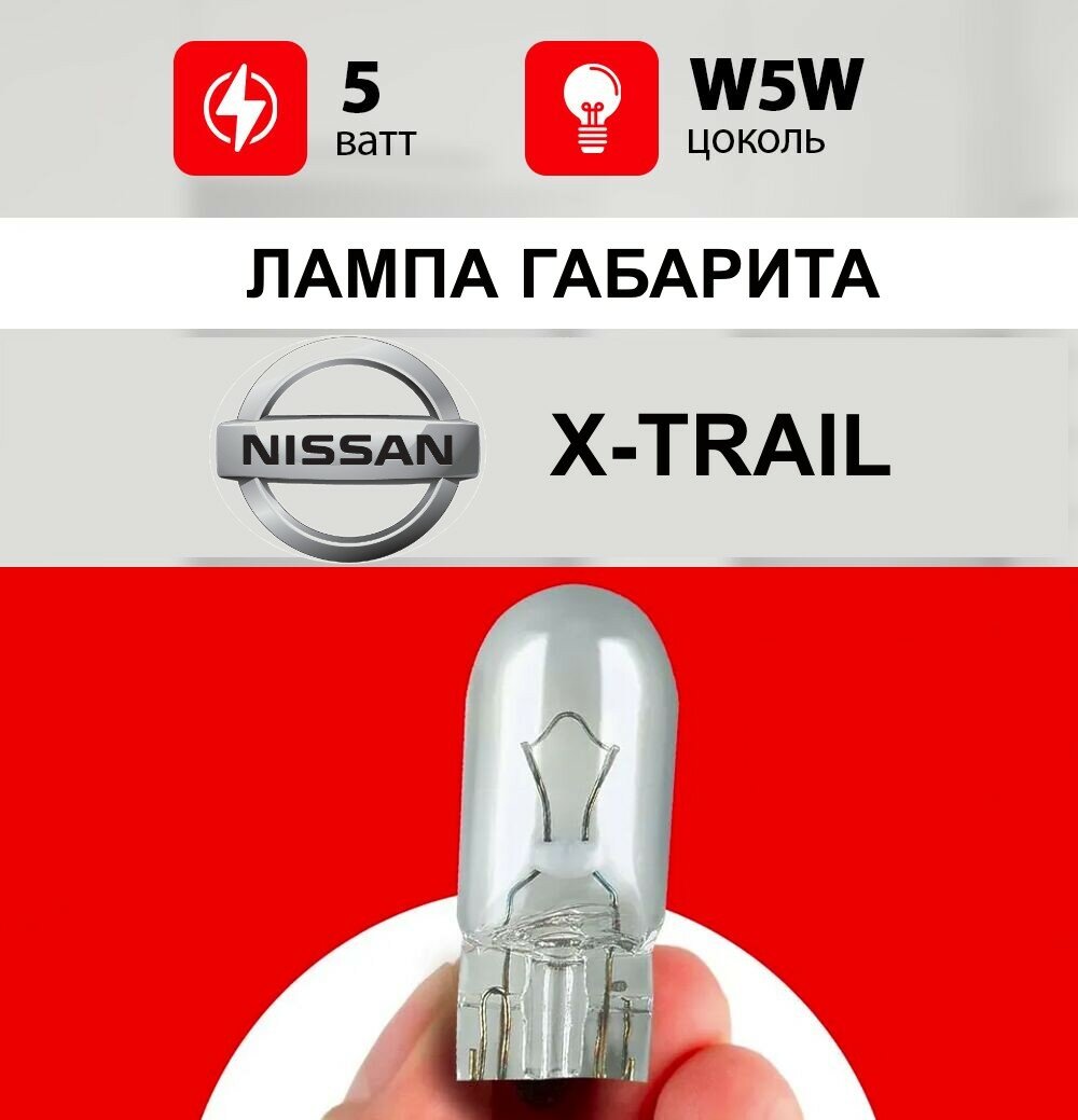 Лампа габарита Ниссан Х-Трейл / лампочка габарита Nissan X-Trail Т31, Т32 / W5W 5 wt