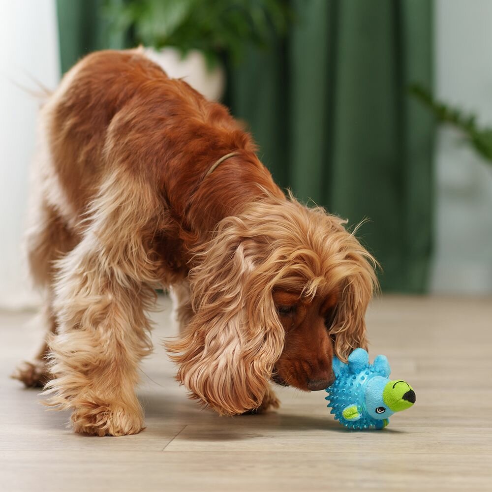 Игрушка для собак в мячике, 11х7х8 см