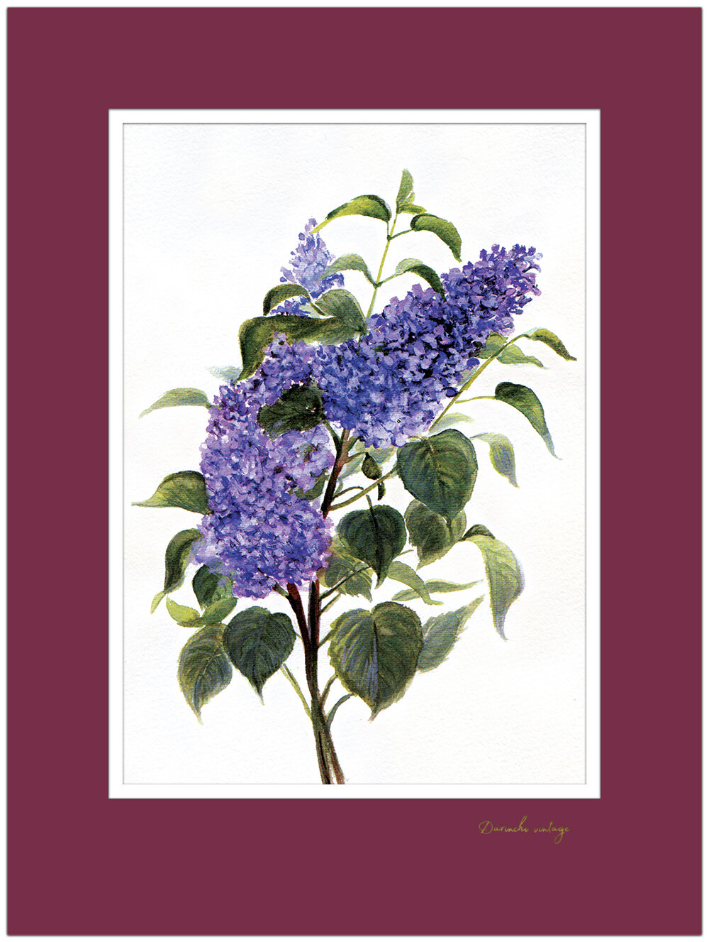 Постер сирень с двойным паспарту 300*400 mm
