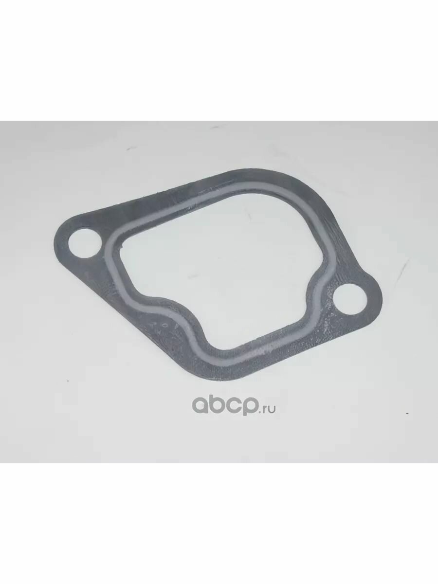 Прокладка корпуса термостата. Комплект из 5 шт