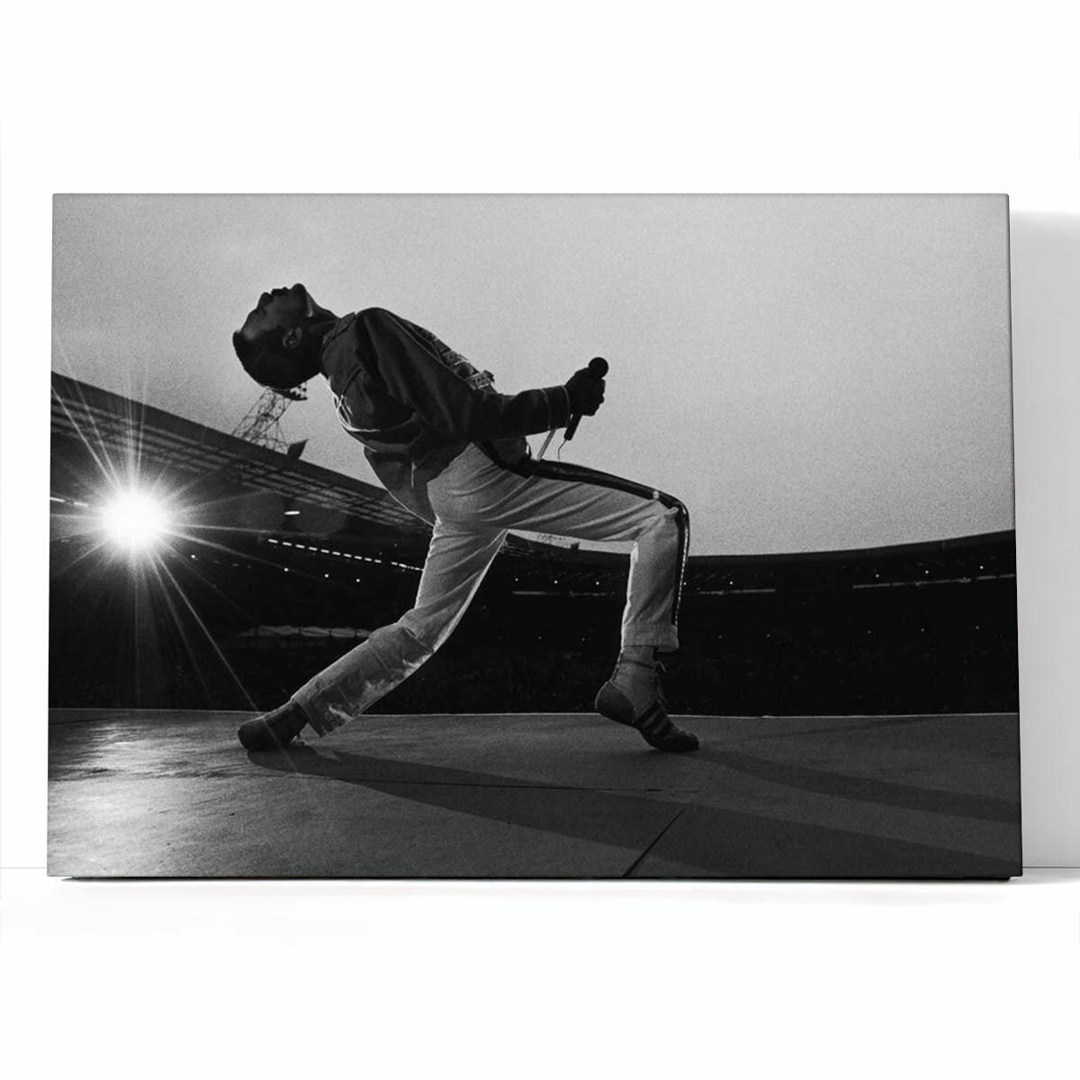 Интерьерная картина на хлопковом холсте/Фредди Меркьюри, Freddie Mercury (5)