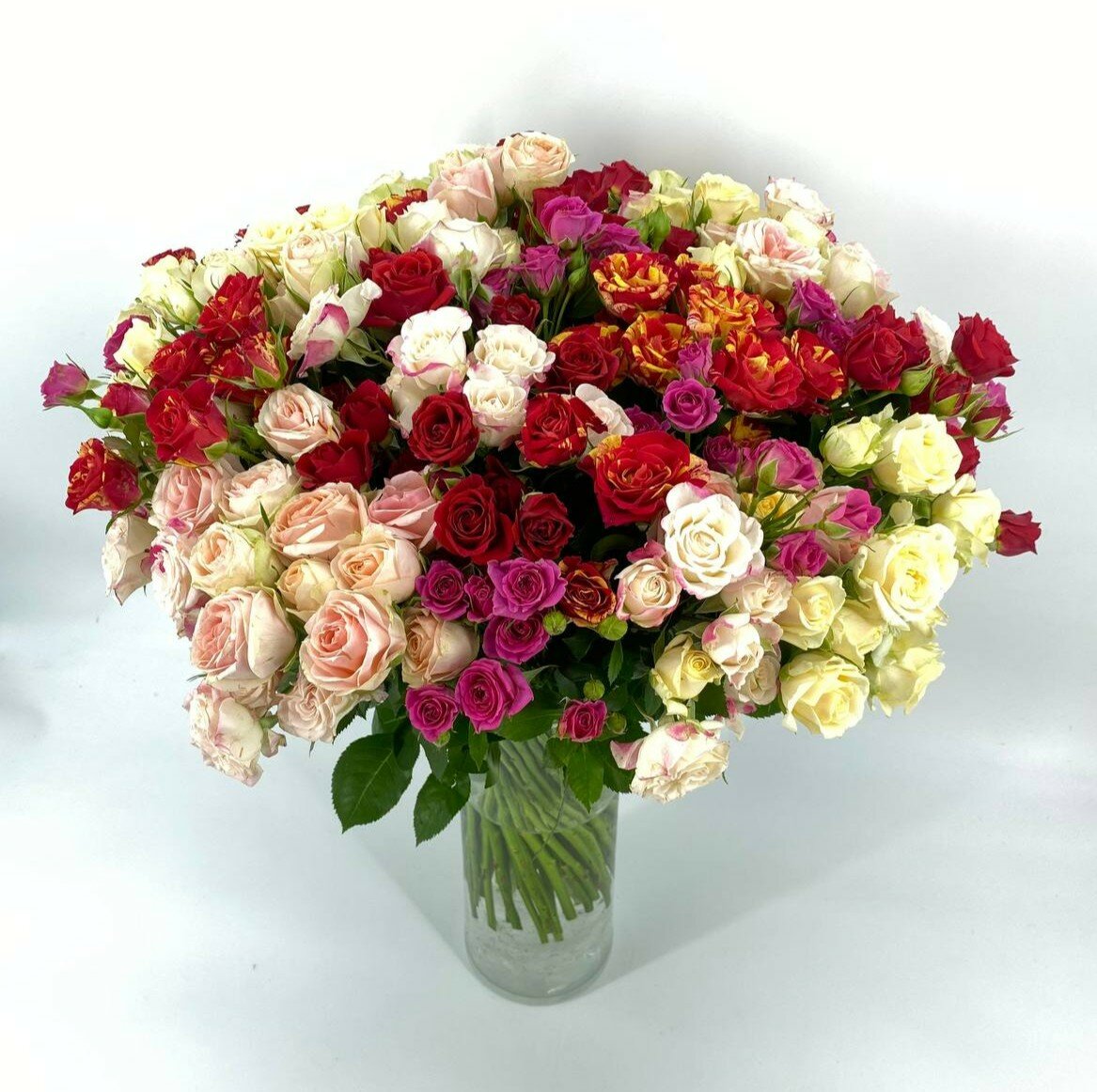 Большой букет из 51 кустовой розы. Роза кустовая разноцветная. Букет для любимой девушки