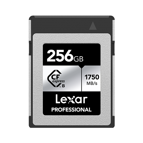 Карта памяти Lexar Professional CFexpress Type B 256GB R1750/W1300MB/s (LCXEXSL256G-RNENC)