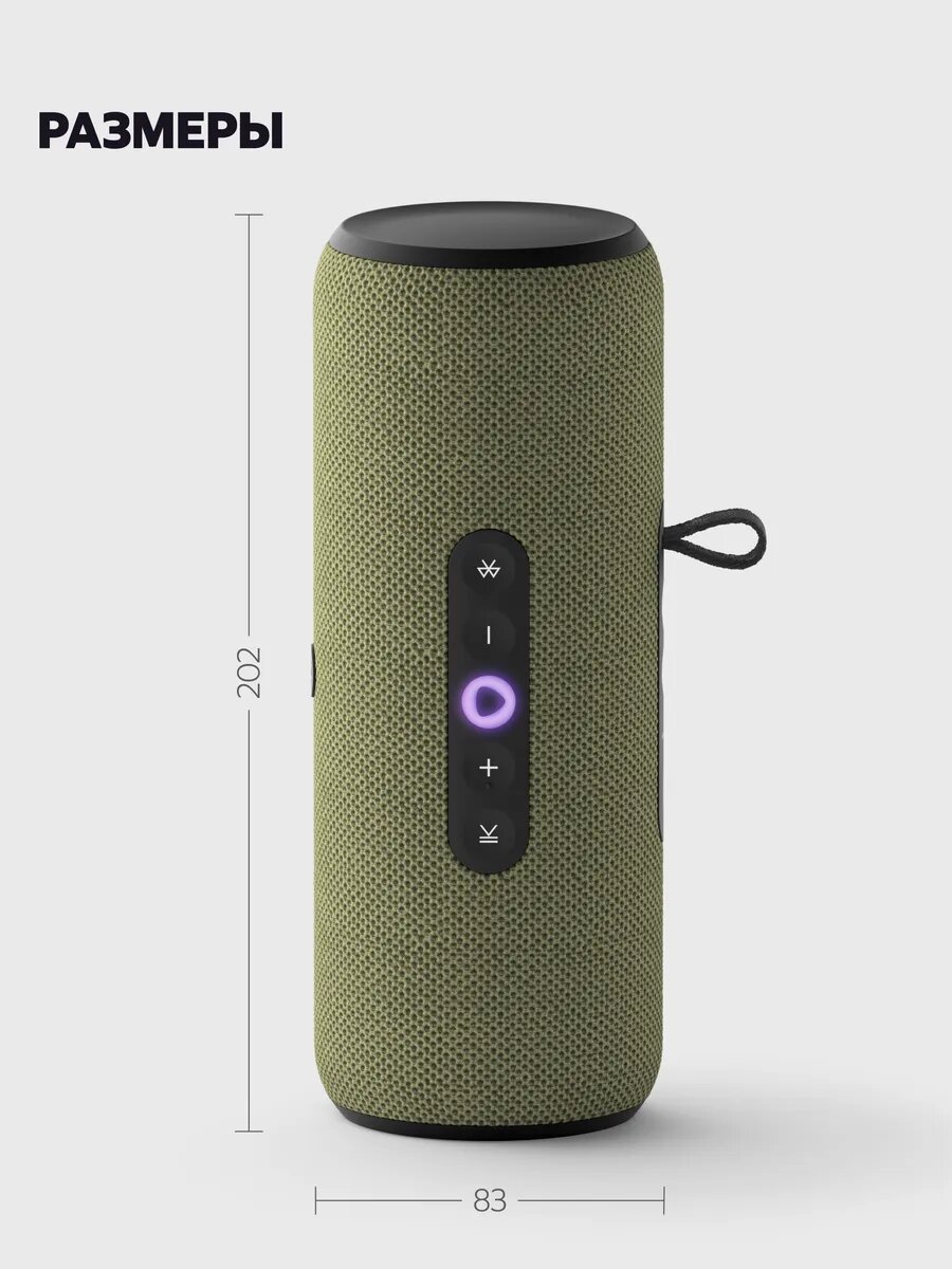 Умная колонка "Яндекс Станция Стрит", с Алисой, зеленый, влагозащищенная, 30Вт