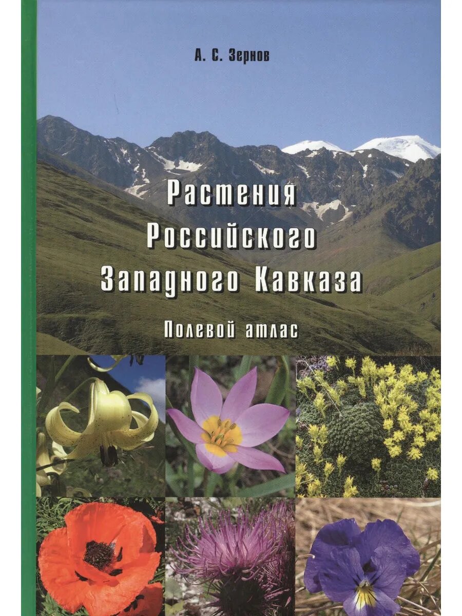Растения Российского Западного Кавказа: Полевой атлас