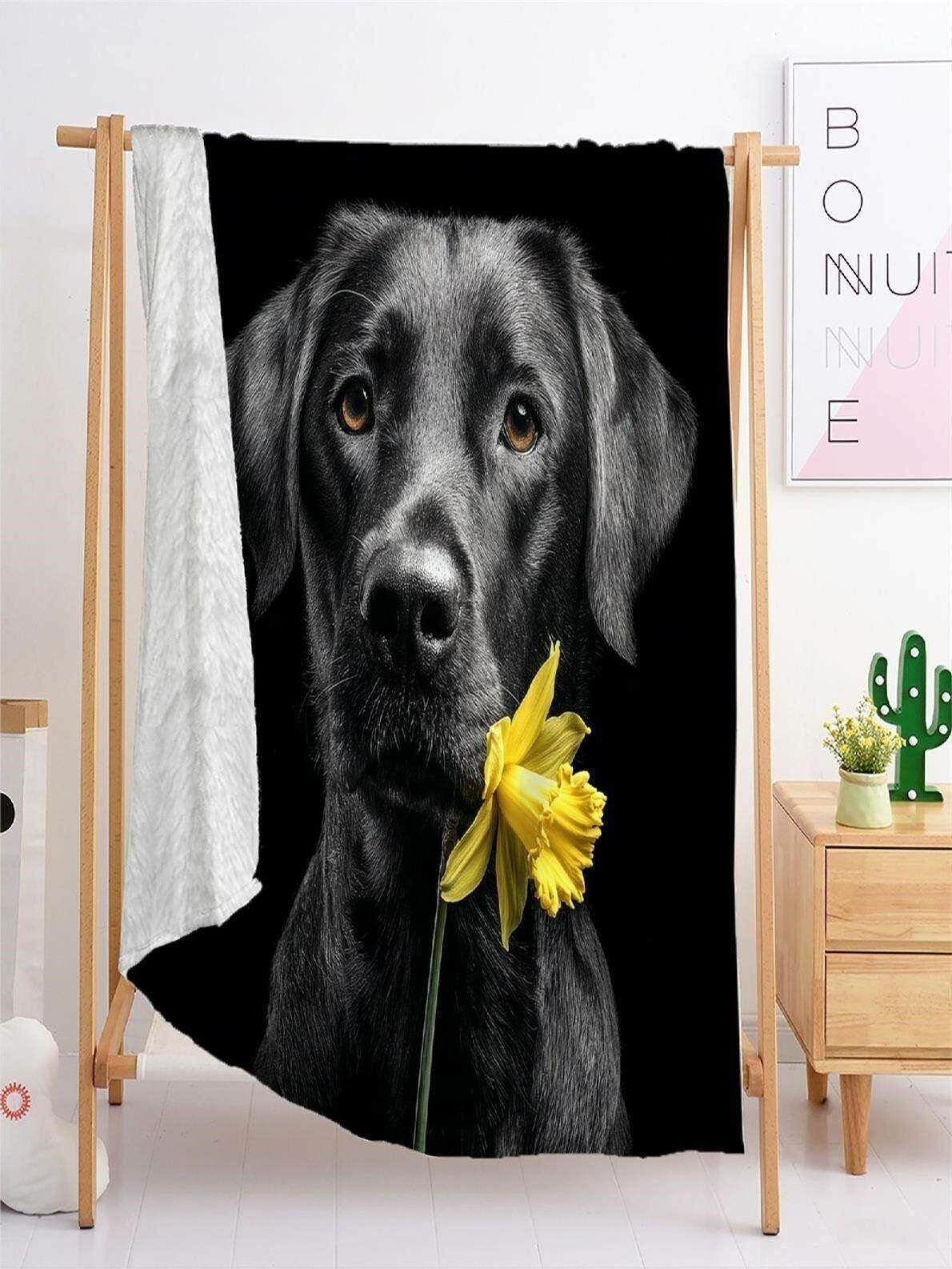 Плед