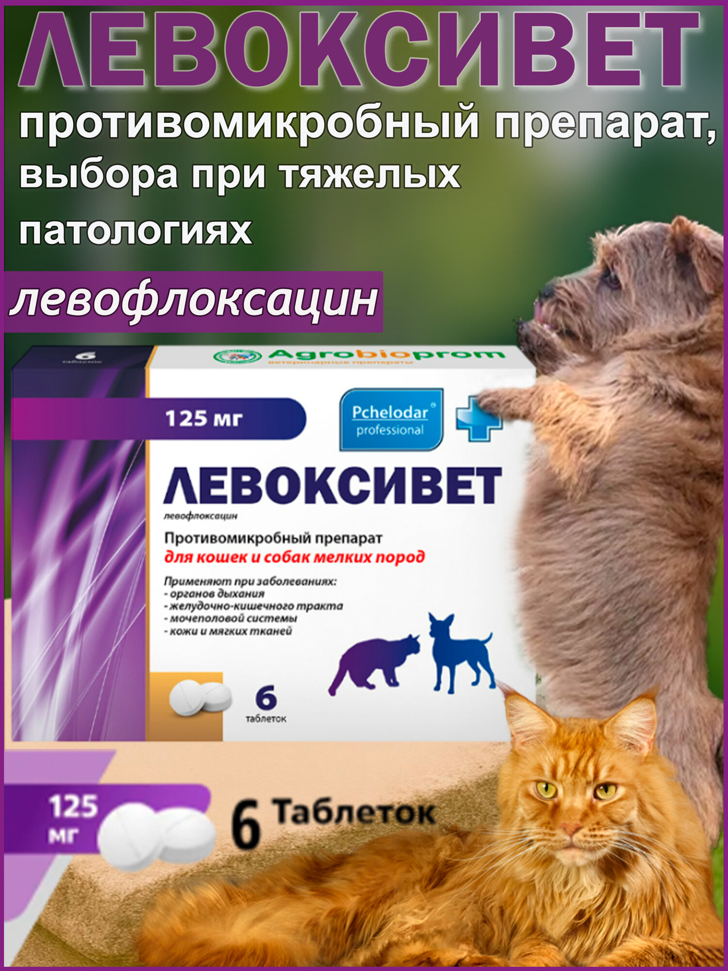 Левоксивет (6 таблеток-125мг ) для кошек и собак мелких пород - 1шт