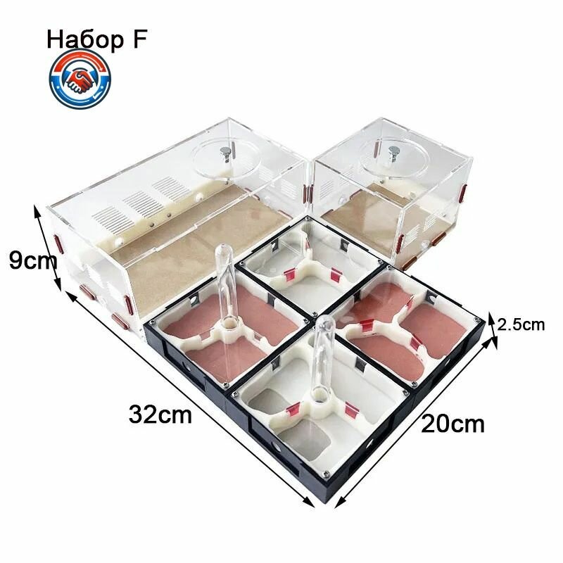 Муравьиная ферма для наблюдения за муравьями, модульная формикарий с расширяемой системой гнёзд и влажной зоной, набор для детей и взрослых, учебный антферма