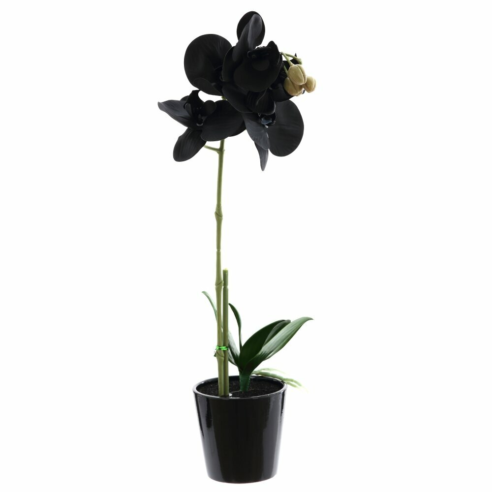 Цветочная композиция Орхидея, H45 см KSM-818637