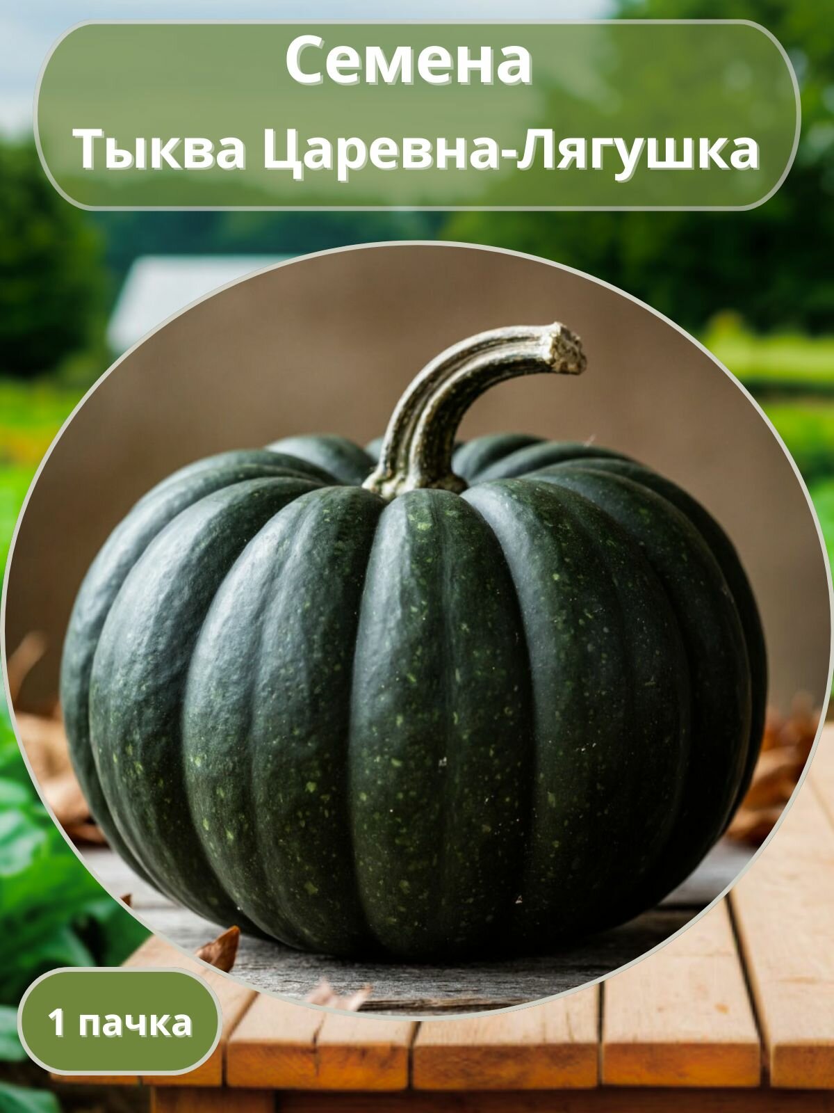 Тыква Царевна лягушка, семена 10 шт
