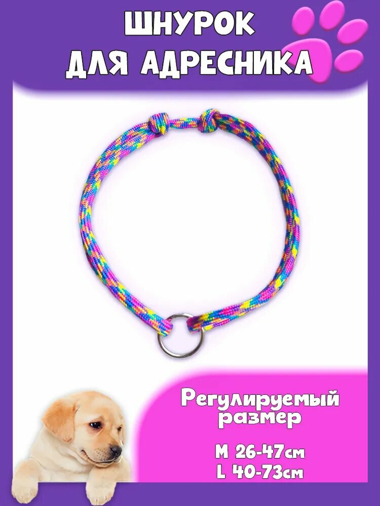 Шнурок для адресника из паракорда /радужный/ Размер L (40-73 см)