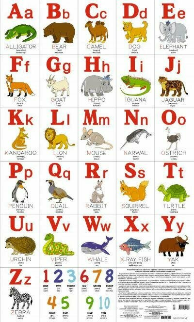 Английский алфавит. Разрезной плакат (Глотова В. Ю.)