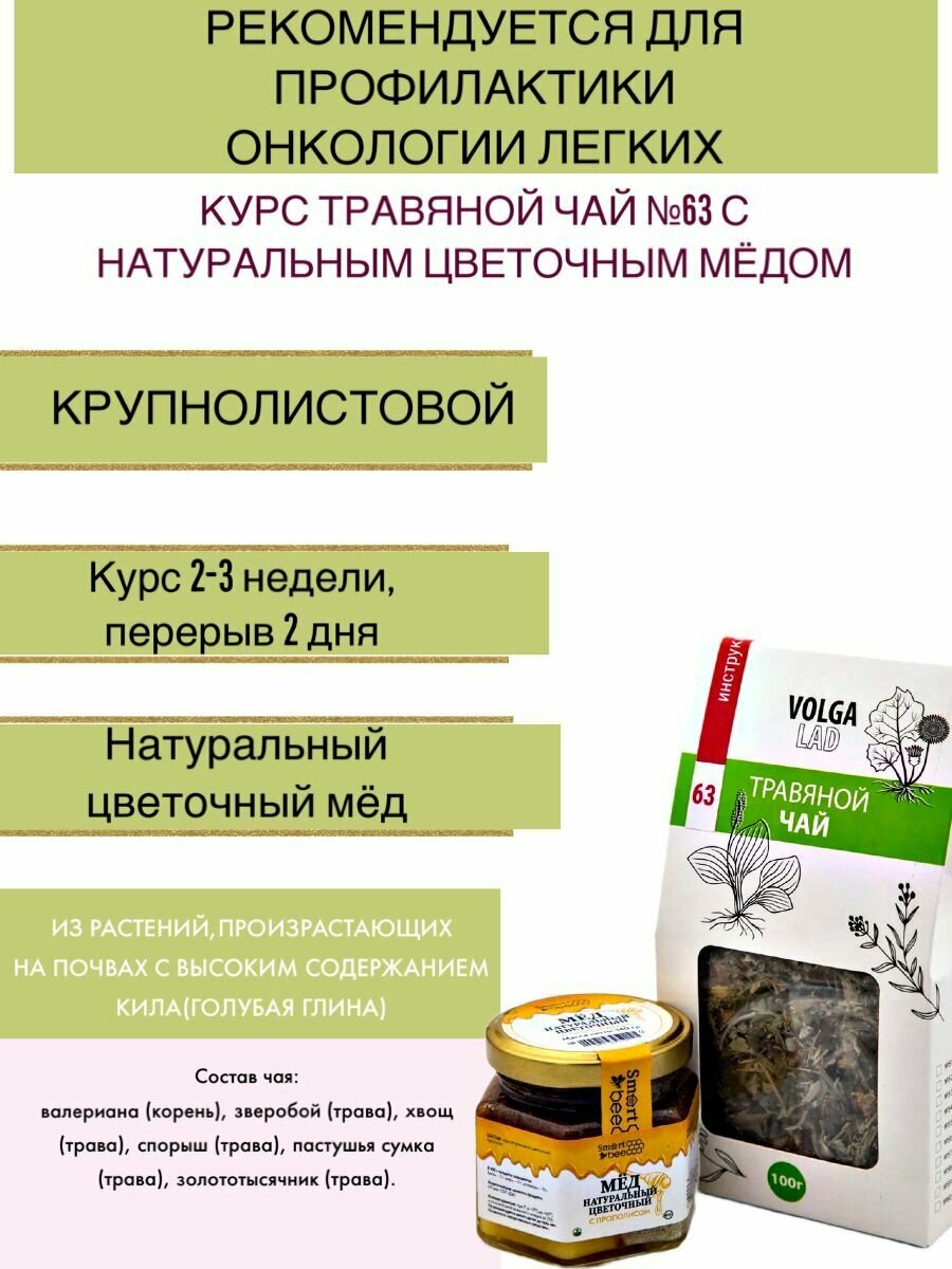 Травяной чай Волгаладь № 63 с медом цветочным, лечебный набор 70/140 г