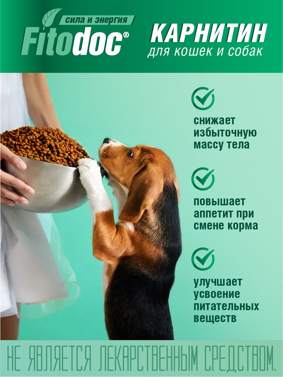 Витамины Fitodoc АВЗ "Карнитин", для кошек и собак, раствор, 50мл — фото 1