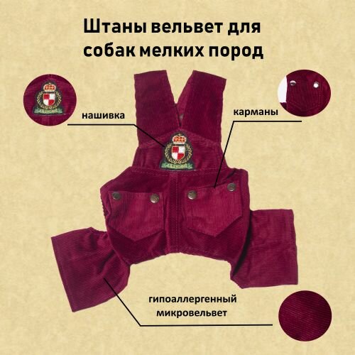 Штаны-джинсы вельвет для собак мелких пород, нашивка Fashion, размер XS, цвет бордовый