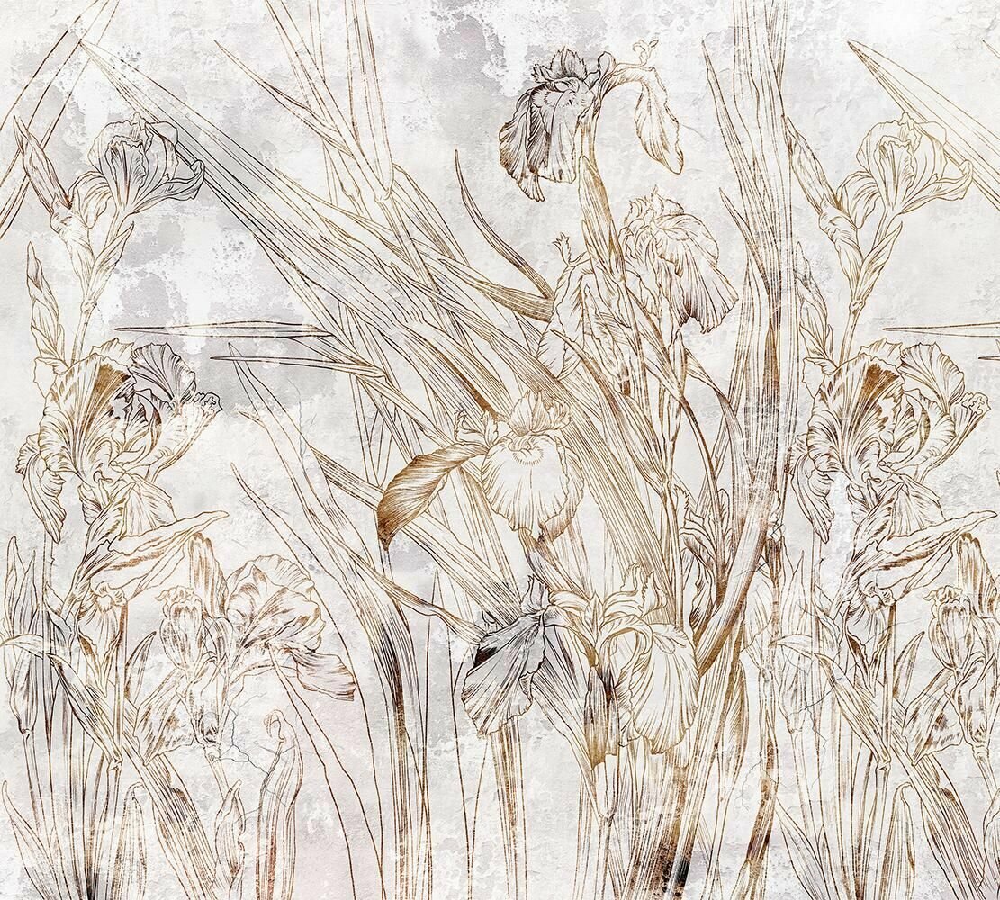 Фотообои Z-327 Ирисы гранж 300х270 DIVINO