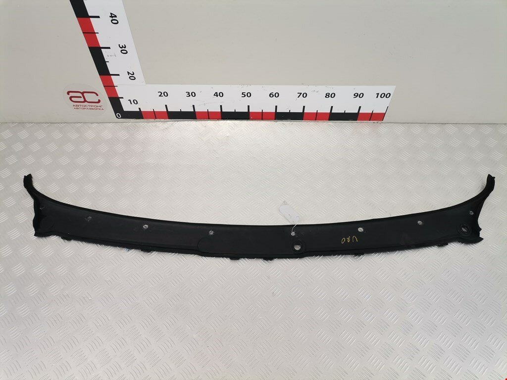 Дождевик (жабо) BMW X5 (E70) 51717151969 арт. 1456785