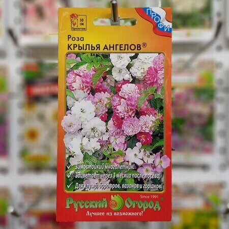 Семена Цветов Роза "Крылья Ангелов", 10 шт
